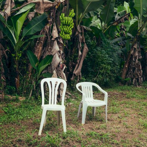 DeBÍ TiRAR MáS FOToS (2025) by Bad Bunny – Record Club